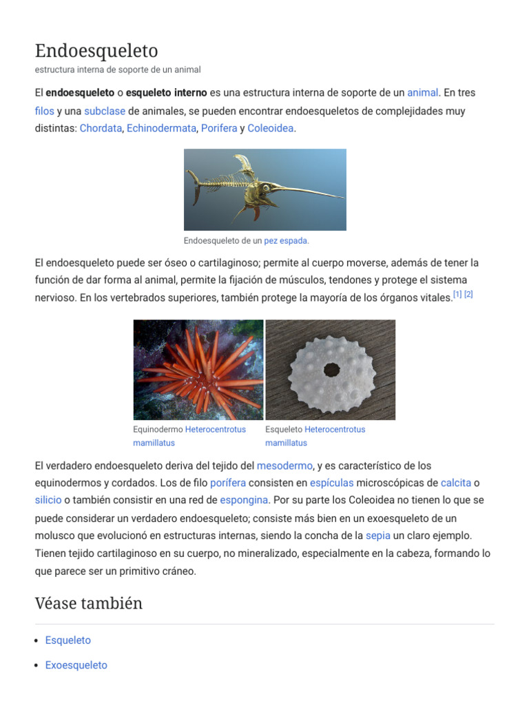 Endoesqueleto - Biología | PDF