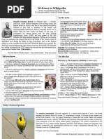 Daily Bing Rewards Activities Summary | PDF