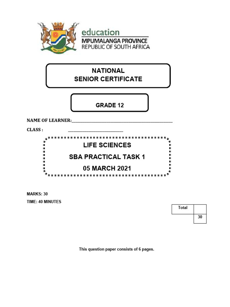 Grade 12 Life Sciences SBA Task 1 | PDF | Dna | Messenger Rna