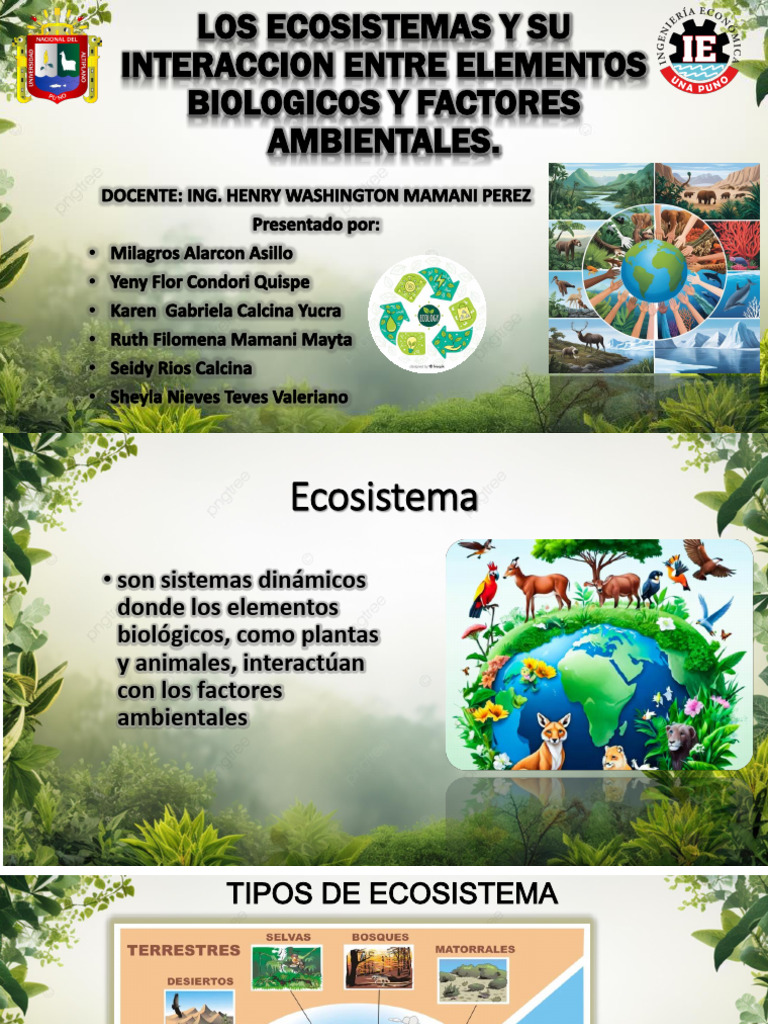 Interacciones en Ecosistemas y Biodiversidad | PDF | Ecosistema ...