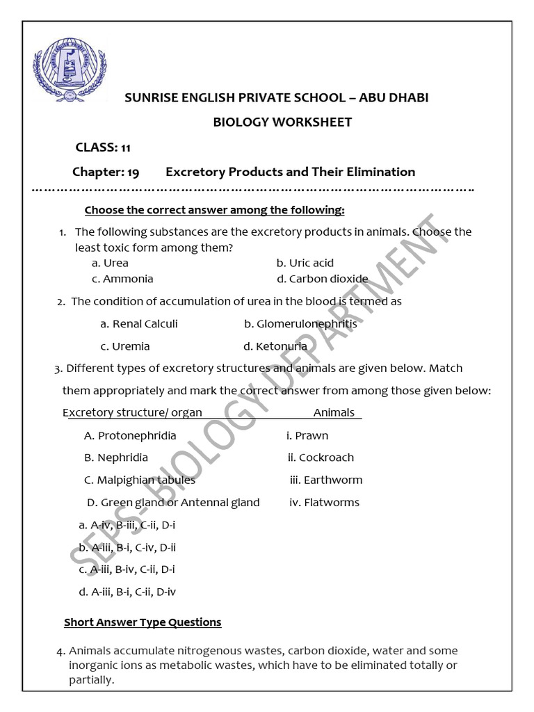 Grade 11 Biology Work Sheet - Excretion....... | PDF | Excretion | Kidney