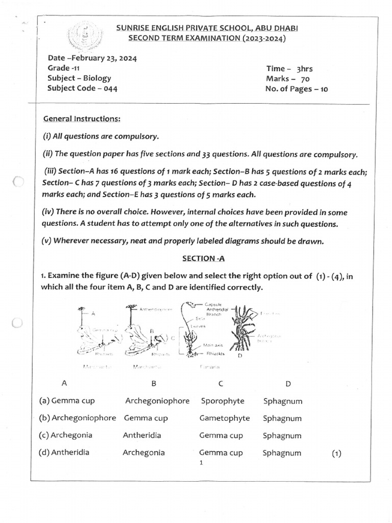 Term 2 Grade 11 Science | PDF