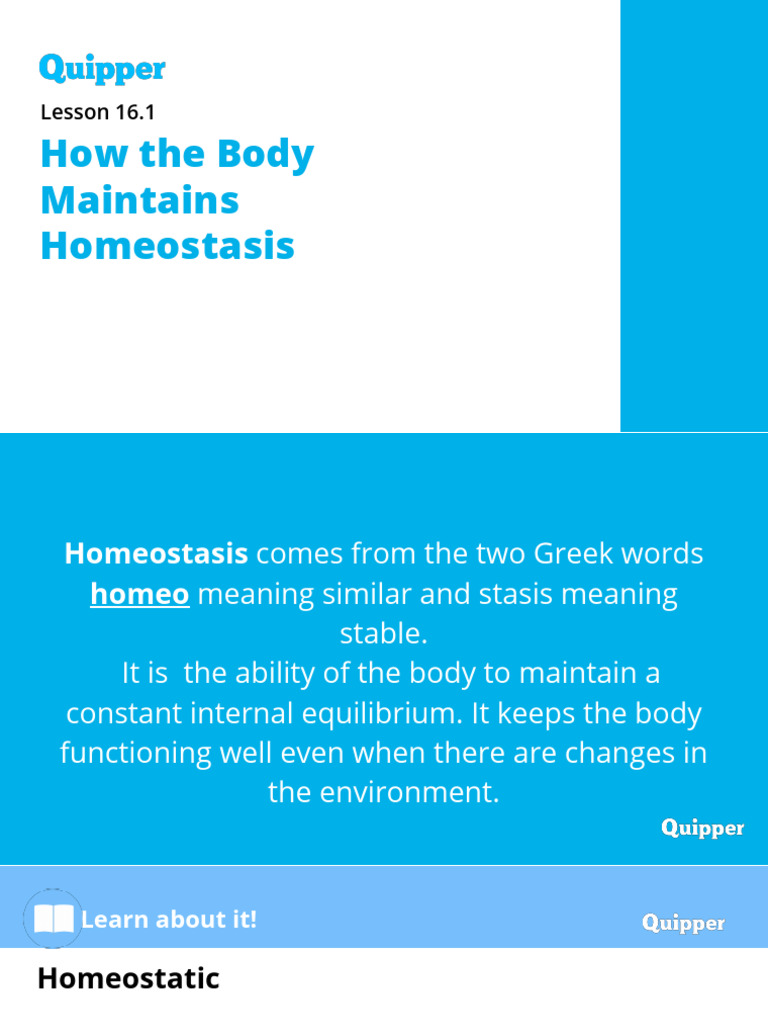 Science How The Body Maintains Homeostasis | PDF | Homeostasis ...