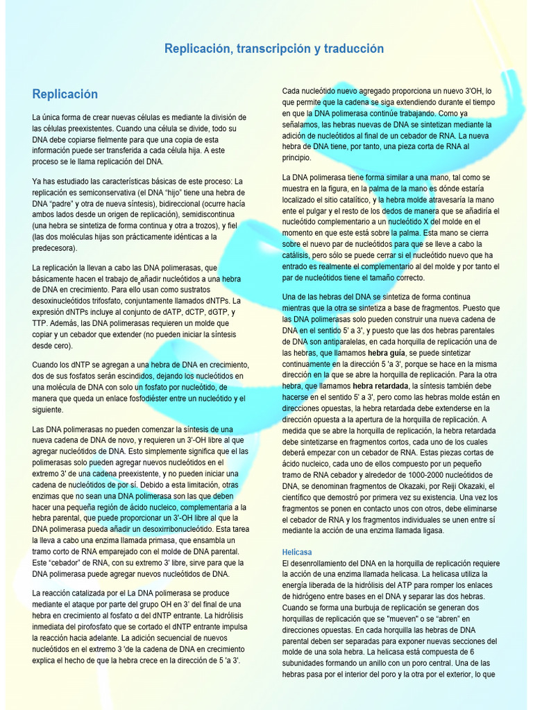 Replicación, Transcripción y Traducción | PDF | Adn | Rna