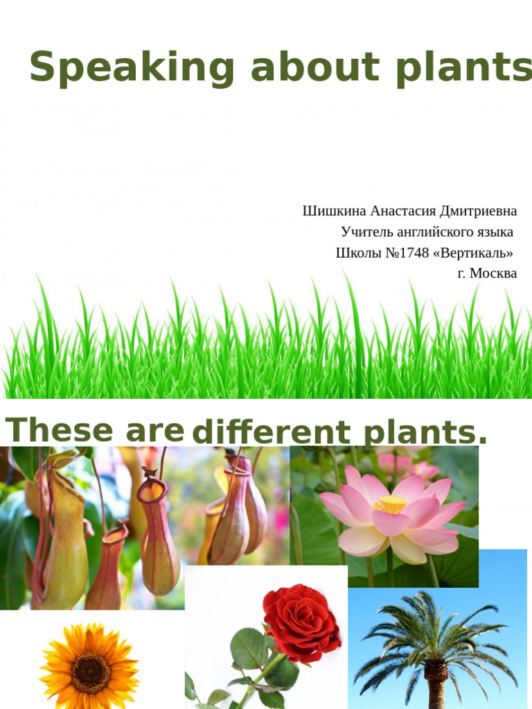 Speaking About Plants | PDF