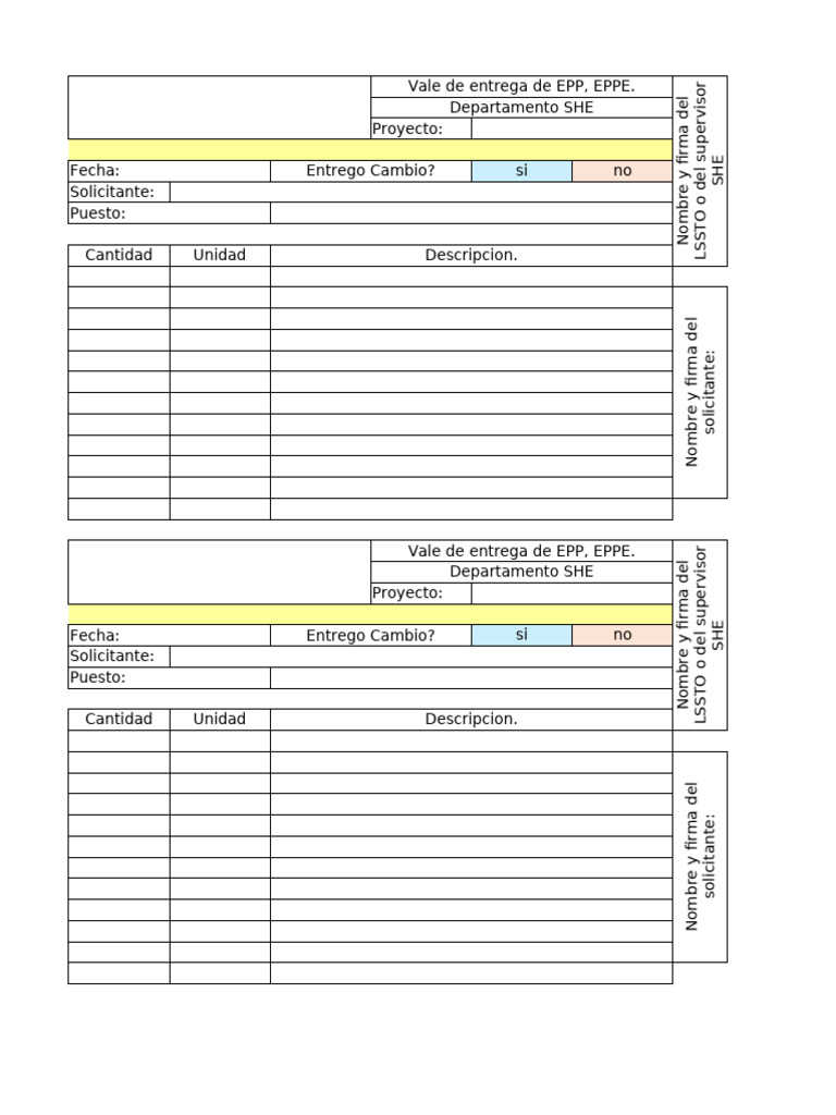 Vale de Entrega de EPP Y EPPE | PDF
