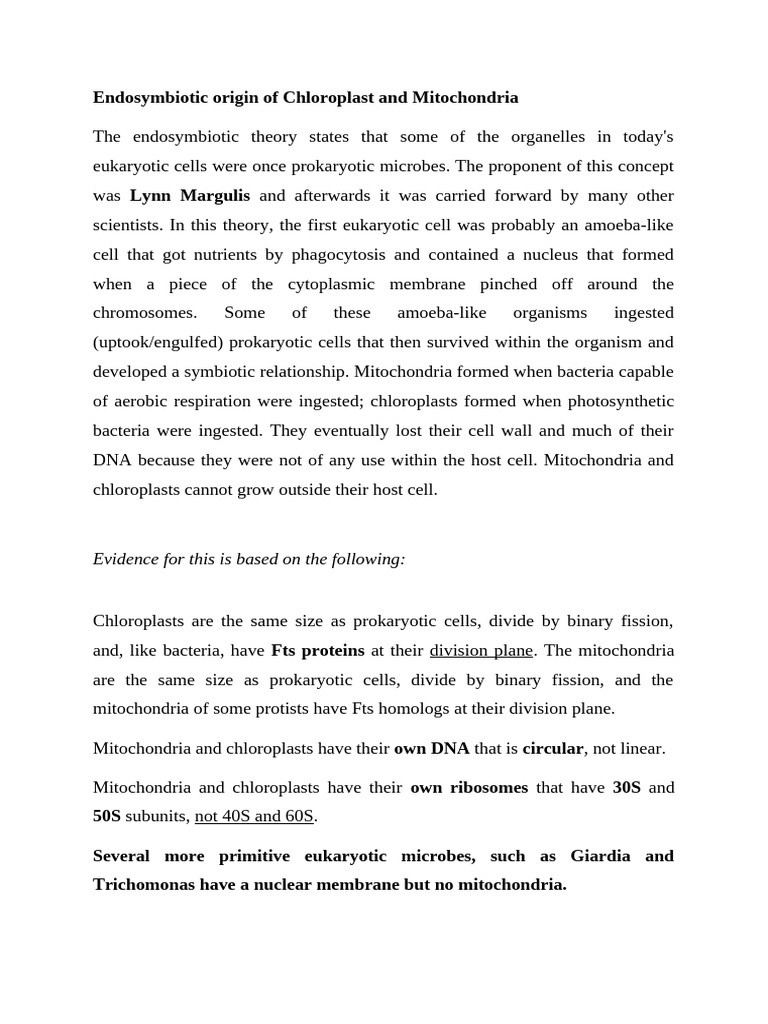 Endosymbiotic theory - compiled '25 | PDF