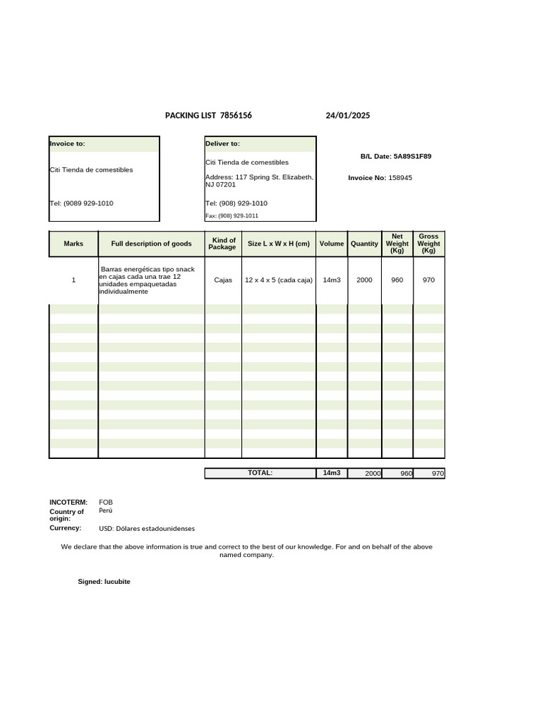 Ejemplo Packing List | PDF