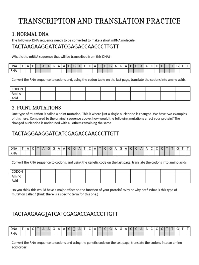 12 - Transcription & Translation | PDF | Genetic Code | Translation ...