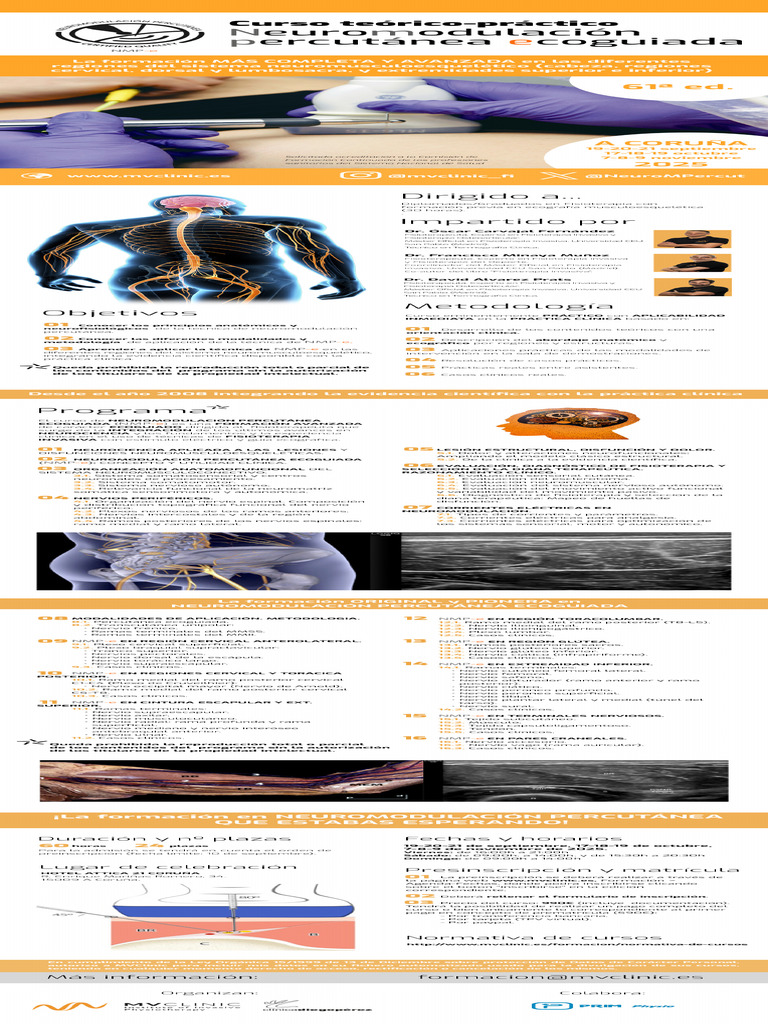 diptico-NEUROMODULACION_61ª | PDF