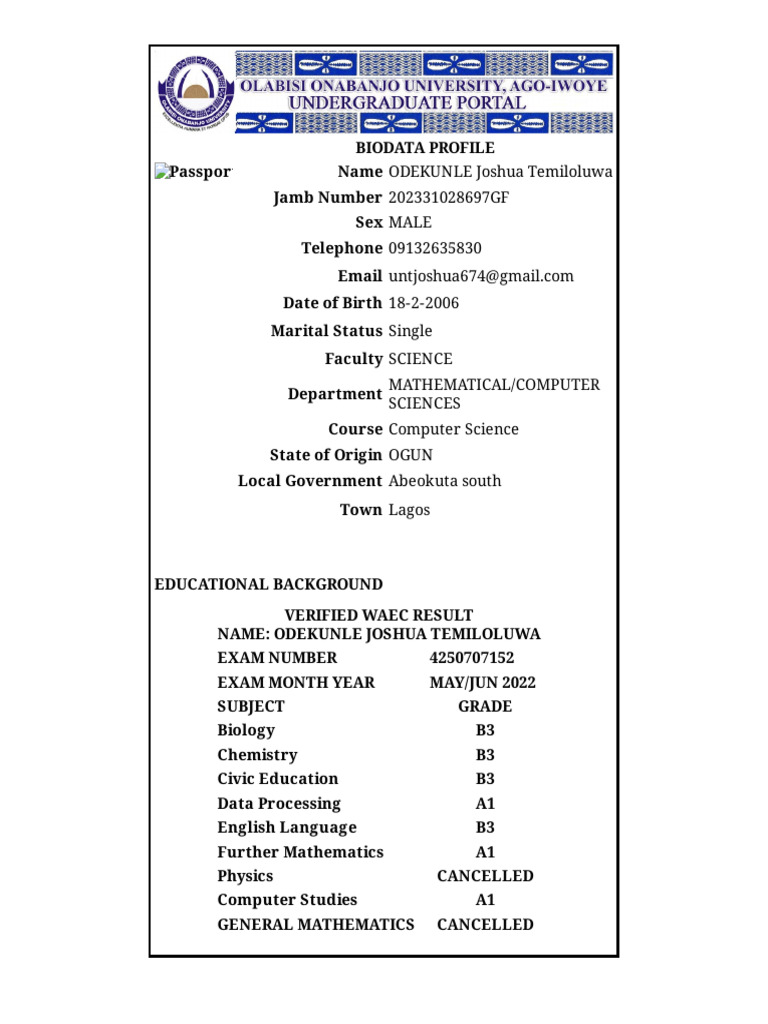 Biodata Print | PDF