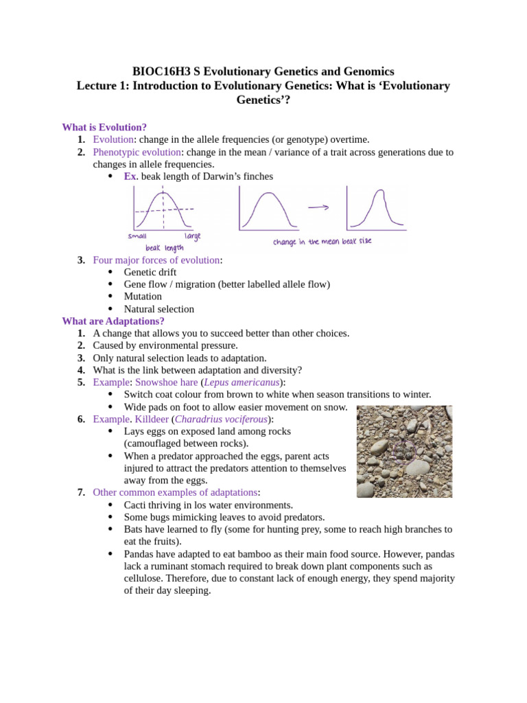 Evolutionary Genetics Overview | PDF | Evolution | Population Genetics