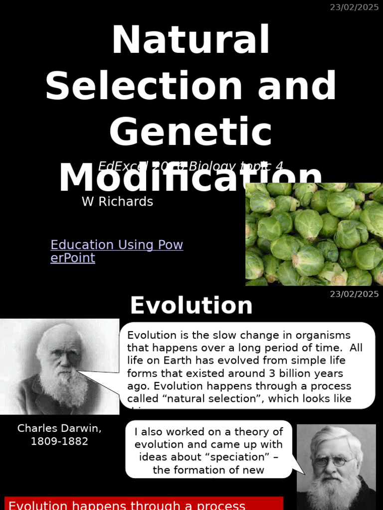 Topic 4 - Natural Selection and Genetic Modification | PDF | Genetic ...