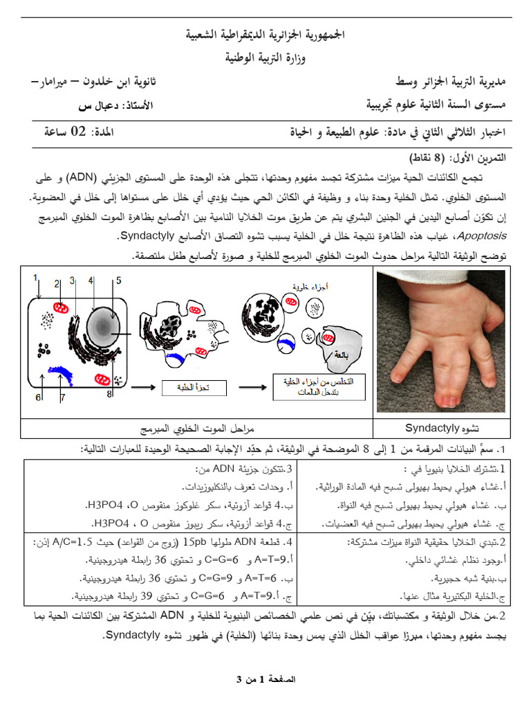 2 AS Daabal S. | PDF