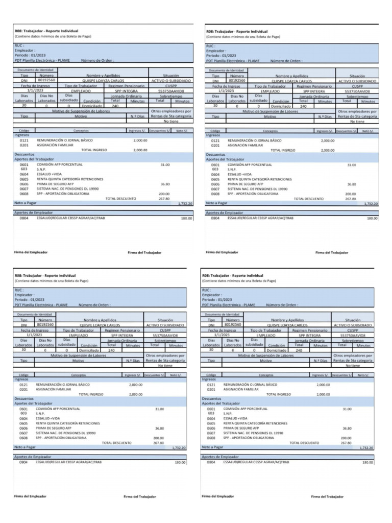 Boletas de Pago | PDF