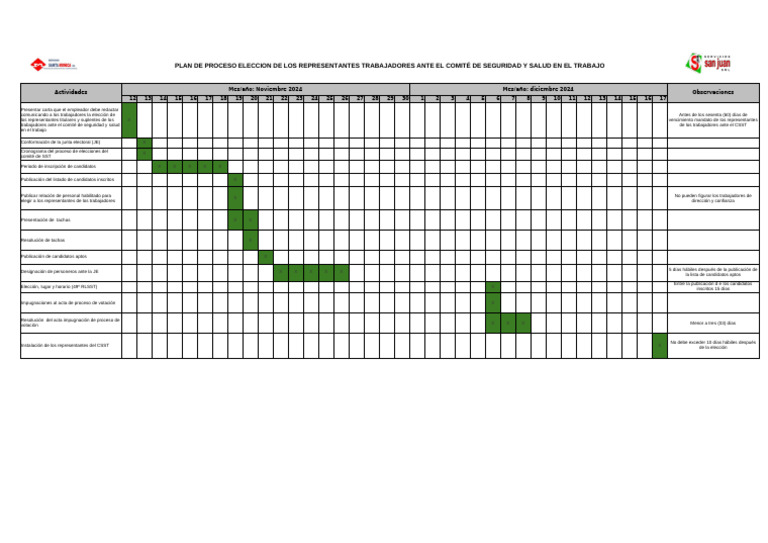 Elección Representantes CSST 2024 | PDF | Gobierno | Elecciones
