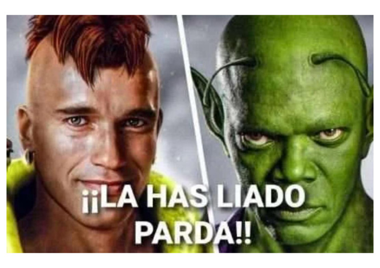 La Has Liado Parda | PDF