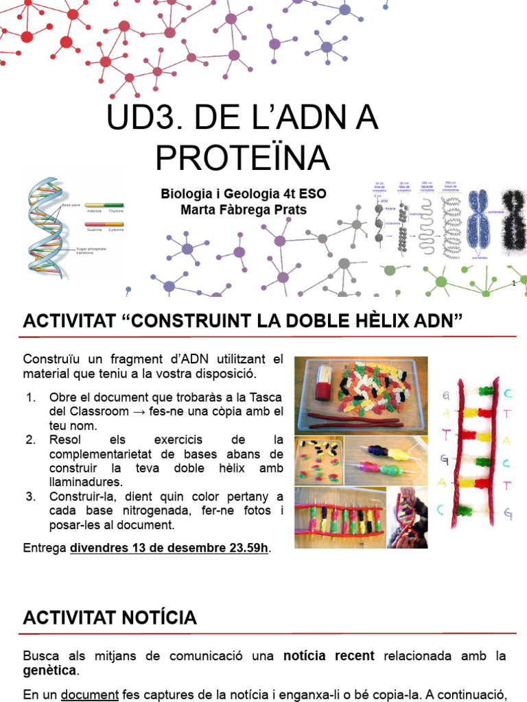 UD3. DE L’ADN A PROTEÏNA | PDF