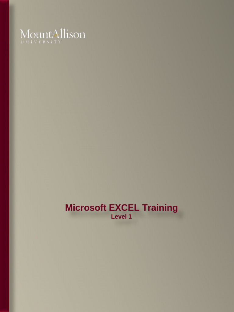 Excel Training Level 1 | PDF | Microsoft Excel | Computer File