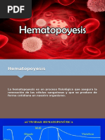 Morfología de Mielocitos y Metamielocitos | PDF | Linfocitos | Nucleo ...