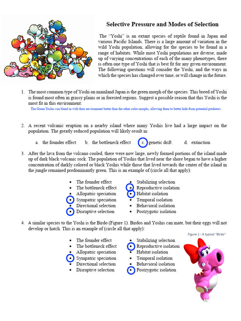 Selective Pressure and Modes of Selection Key | PDF | Natural Selection ...