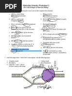 Protein Synthesis Worksheet | PDF