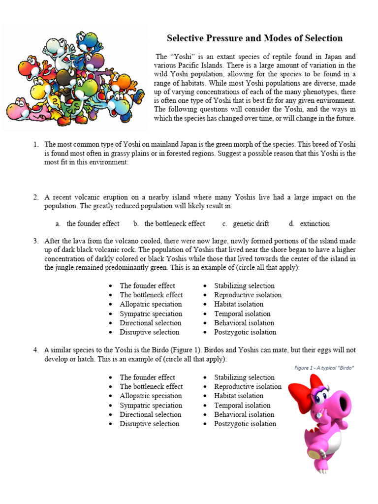 Evolutionary Dynamics of Yoshis | PDF | Natural Selection | Biology