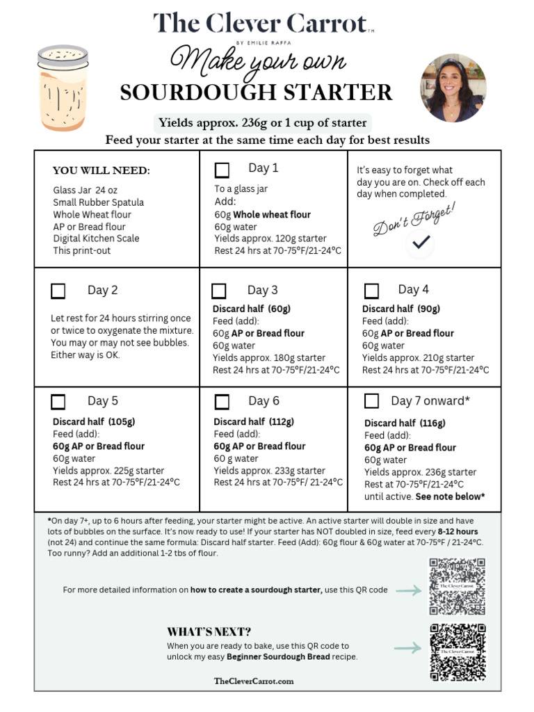 Sourdough Starter Guide: Day-by-Day | PDF | Breads | Sourdough