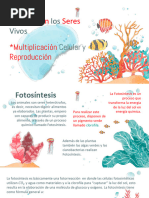 Ciclosis y Procesos Celulares Esenciales | PDF | Fotosíntesis ...