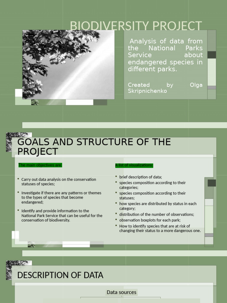 Biodiversity Project | PDF | Biology