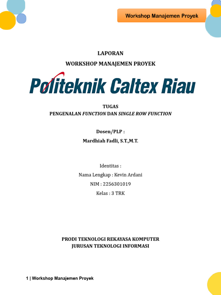 Introduction Project Management | PDF