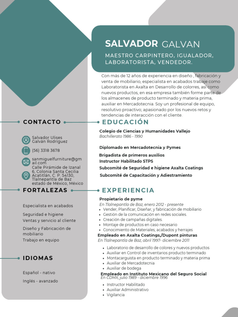 CV Ulises Galván | PDF | Business