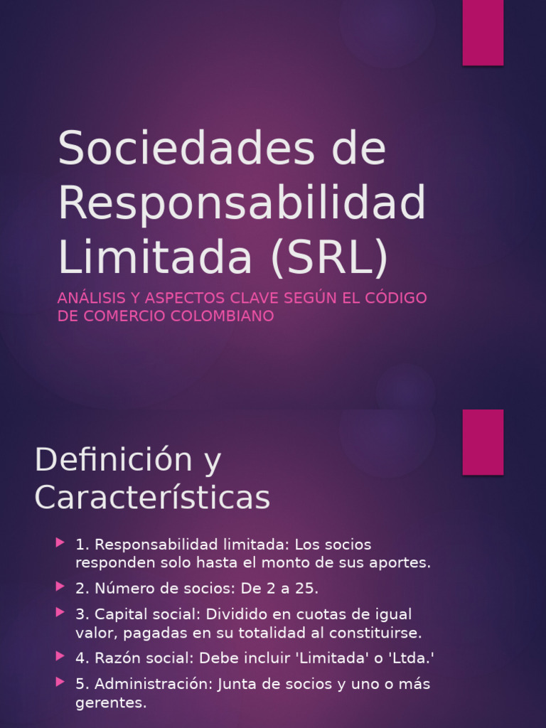 DIAPOSITIVAS SRL | PDF