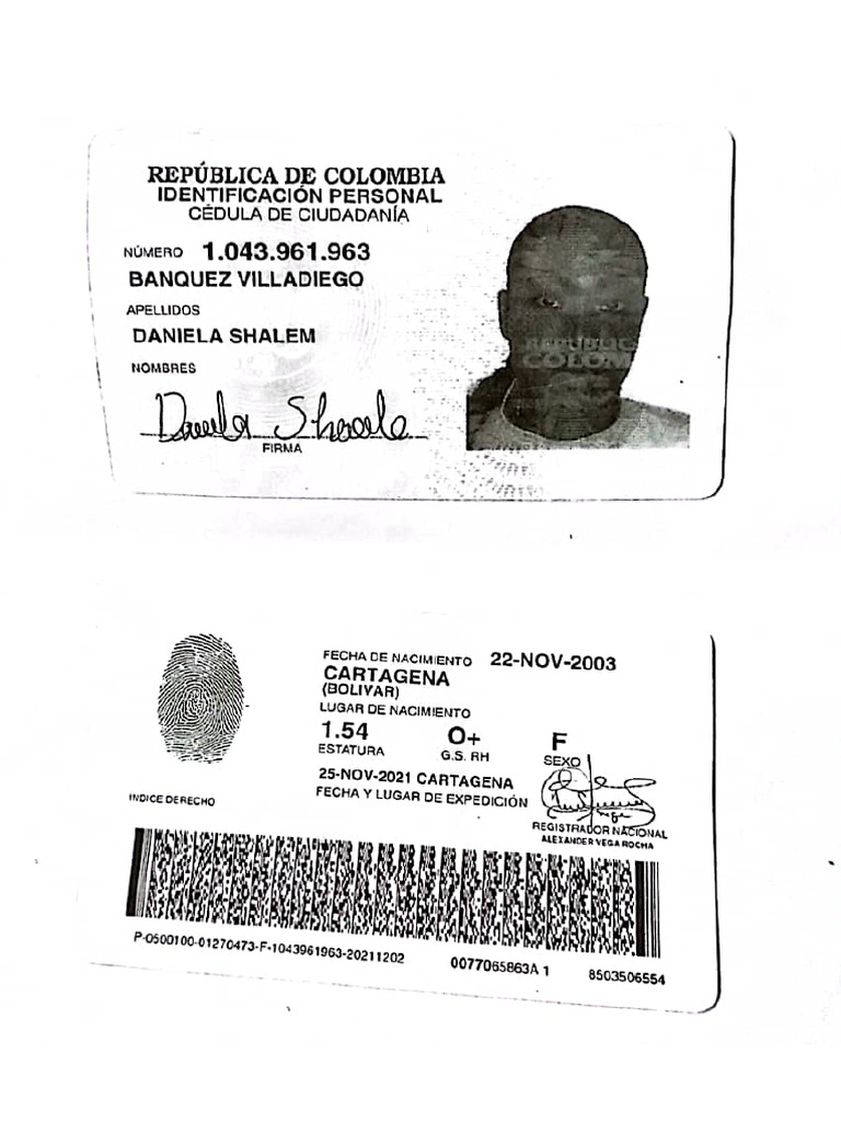 CC Daniela Shalem | PDF