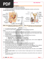 Human Reproduction Class 12 Overview | PDF | Menstrual Cycle | Ovary