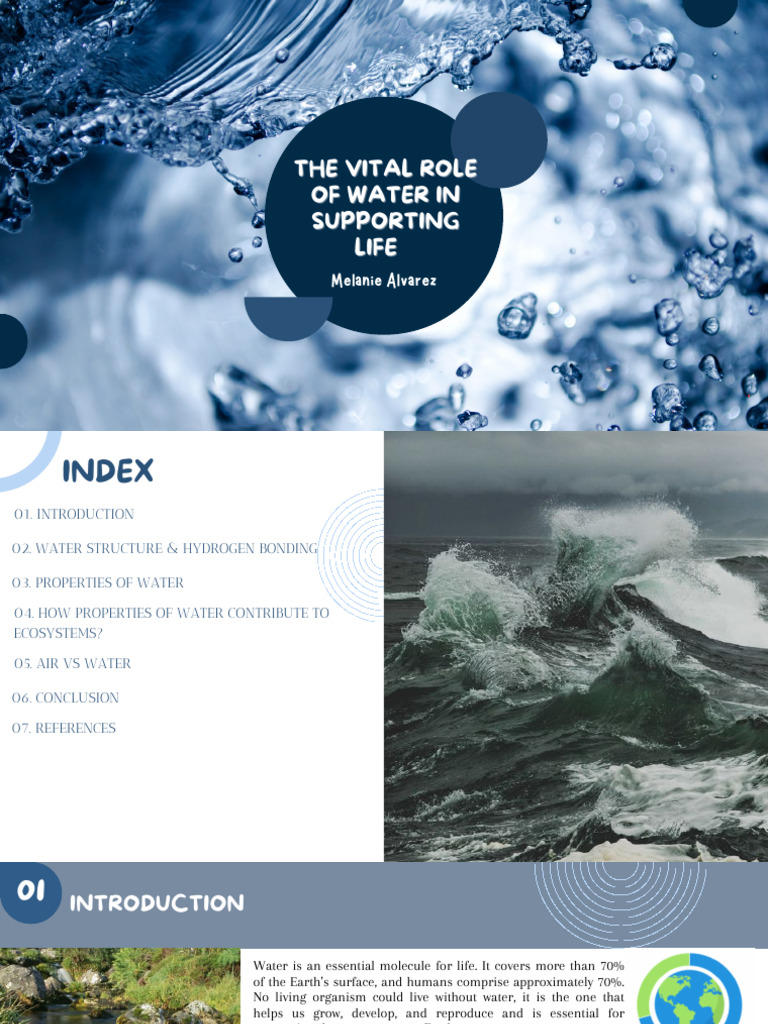 The Vital Role of Water in Supporting Life | PDF | Water | Properties ...