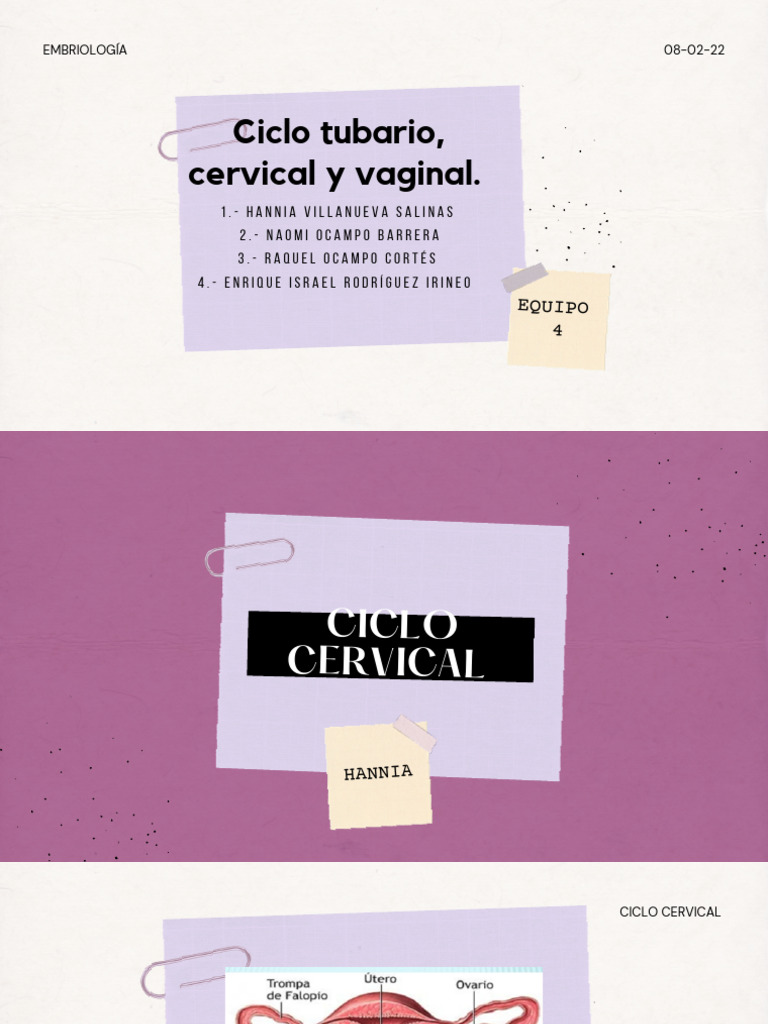 Ciclos Reproductivos Femeninos | PDF