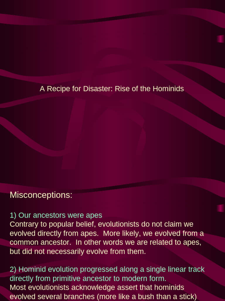 Evolution of Man | PDF | Homo | Human