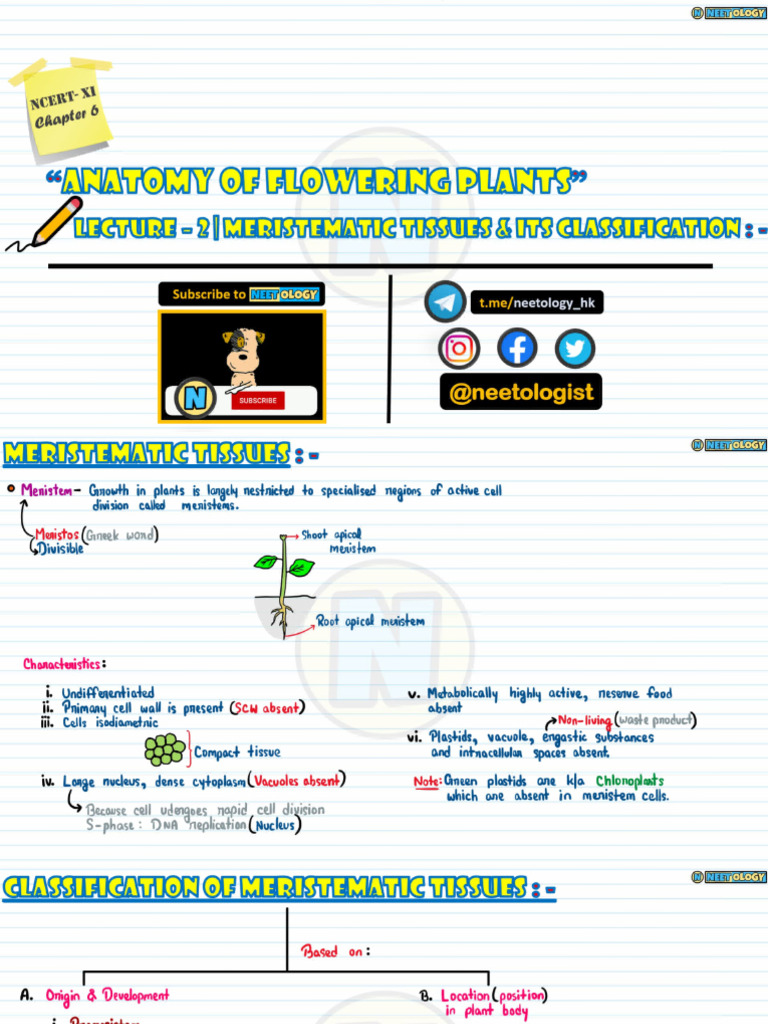 Anatomy of Flowering Plants - Lec 2 (Neetology) | PDF | Tissue (Biology) | Histology