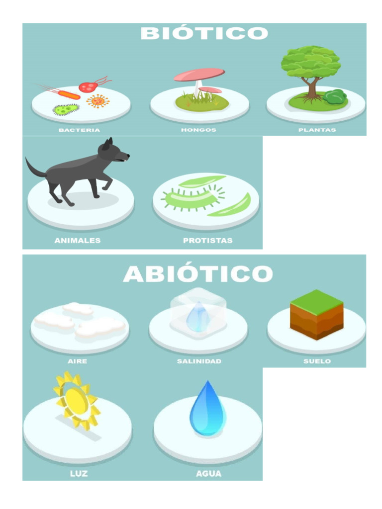 Abiotico y Biotico | PDF