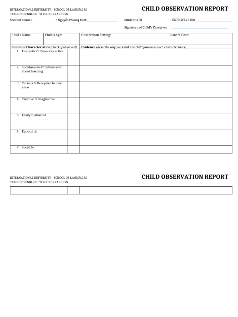 Child Observation Report | PDF