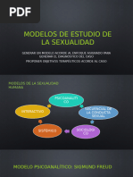 Modelo Sistemático de Los Holones de La Sexualidad | PDF | La sexualidad humana | Amor