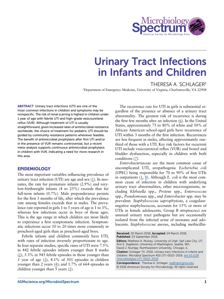 Pediatric Urinary Tract Infections Overview | PDF | Urinary Tract Infection | Medical Specialties