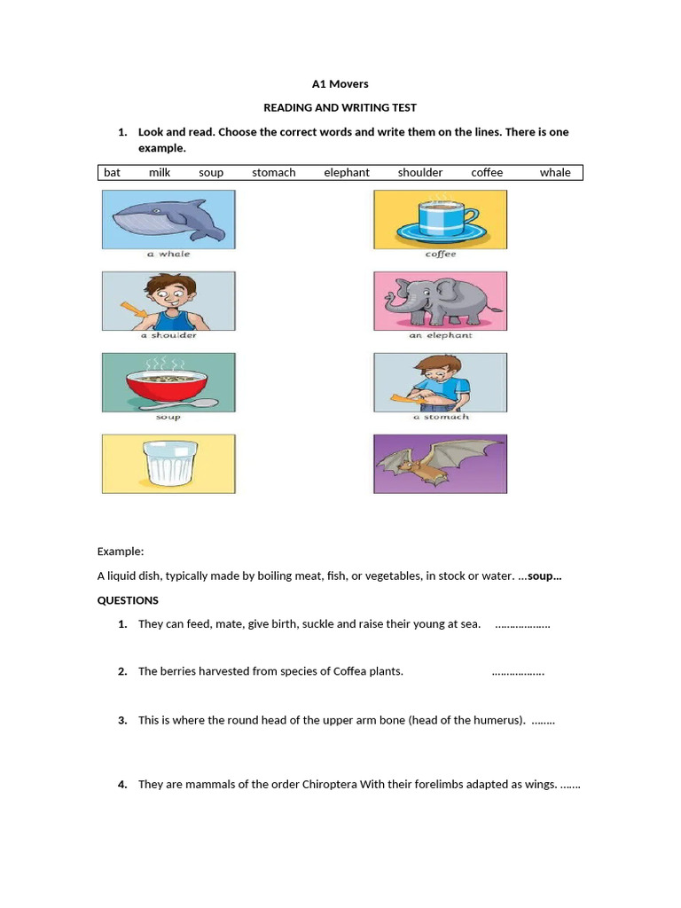 A1 Movers Reading & Writing Test Guide | PDF | Zoology
