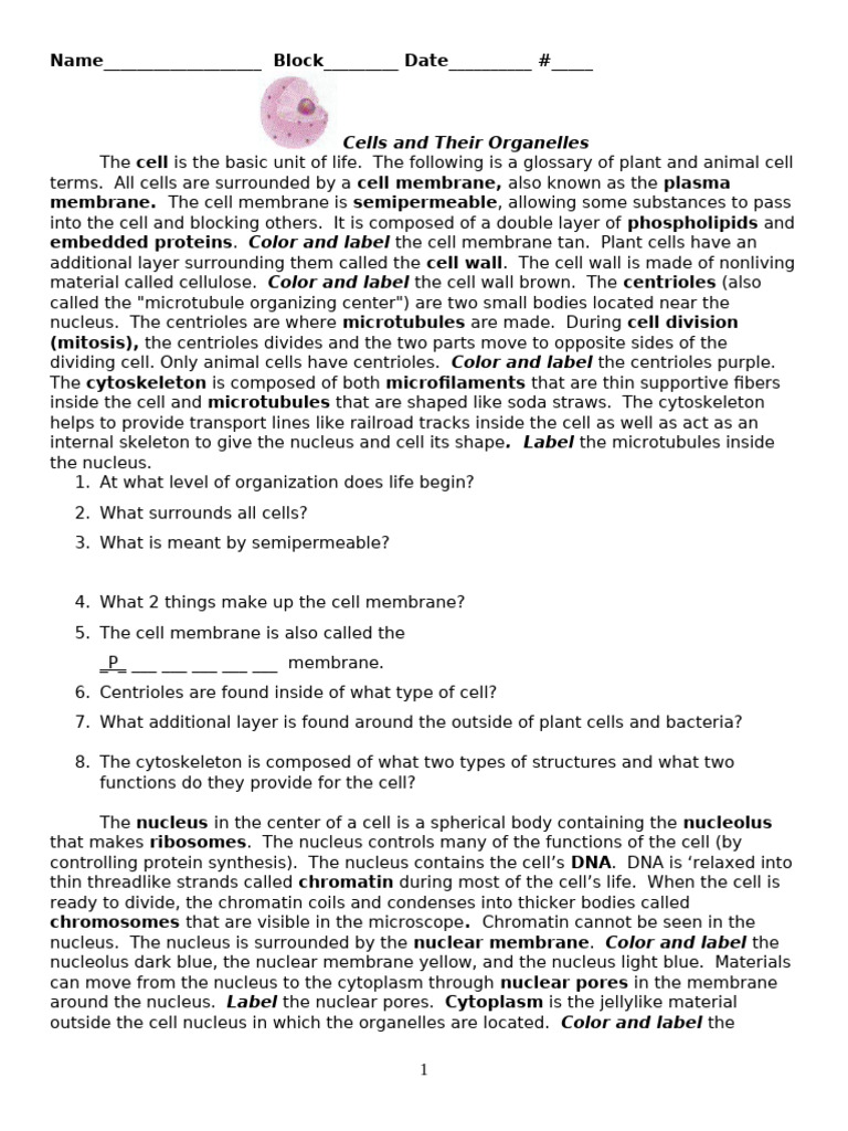 Cell Organelles Glossary Guide | PDF | Cell (Biology) | Endoplasmic ...
