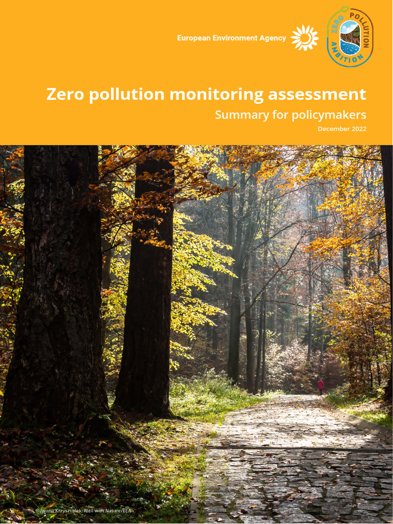 Summary Analysis For Policy Makers | PDF | Air Pollution | Pollution