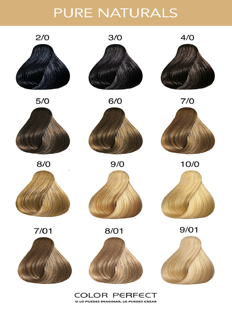 Carta Color Perfect-2 | PDF