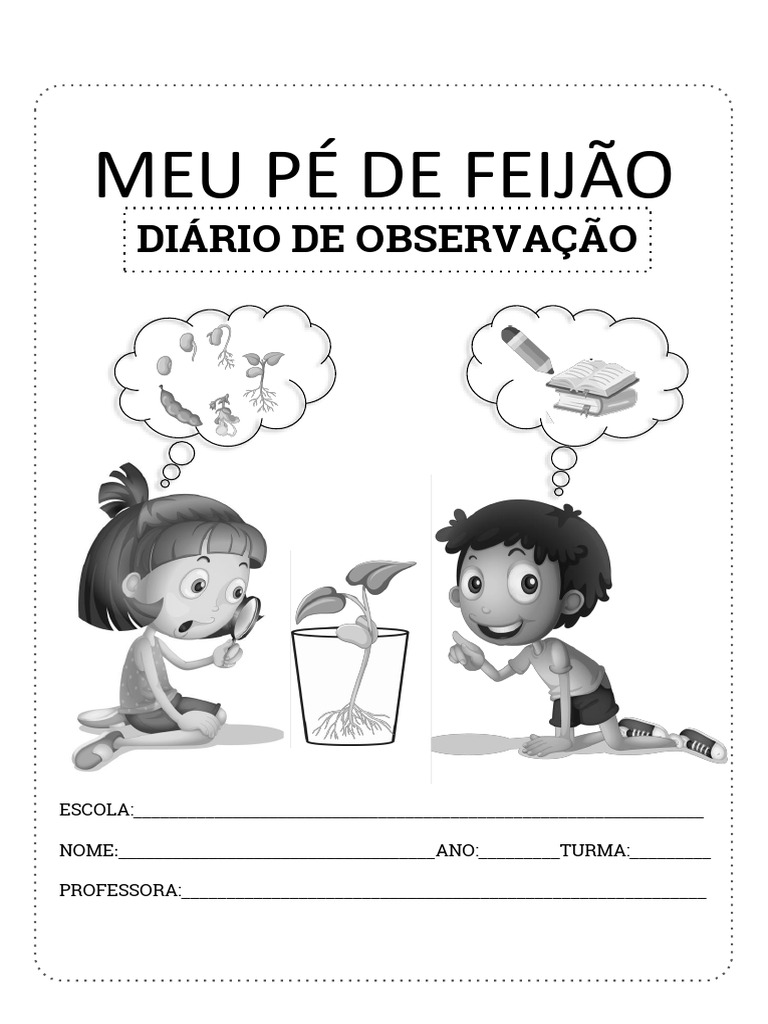 Meu p de Feij o - Di Rio de Observa o | PDF | Semente | Plantas