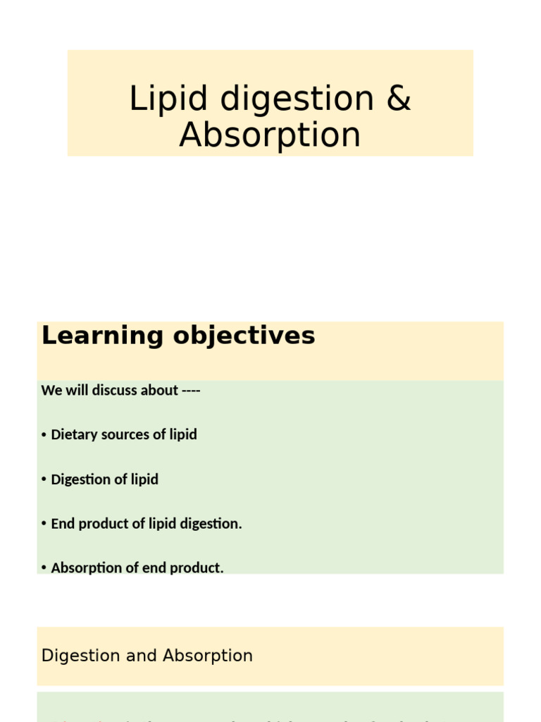 Lipid Digestion & Absorption Guide | PDF | Stomach | Digestion