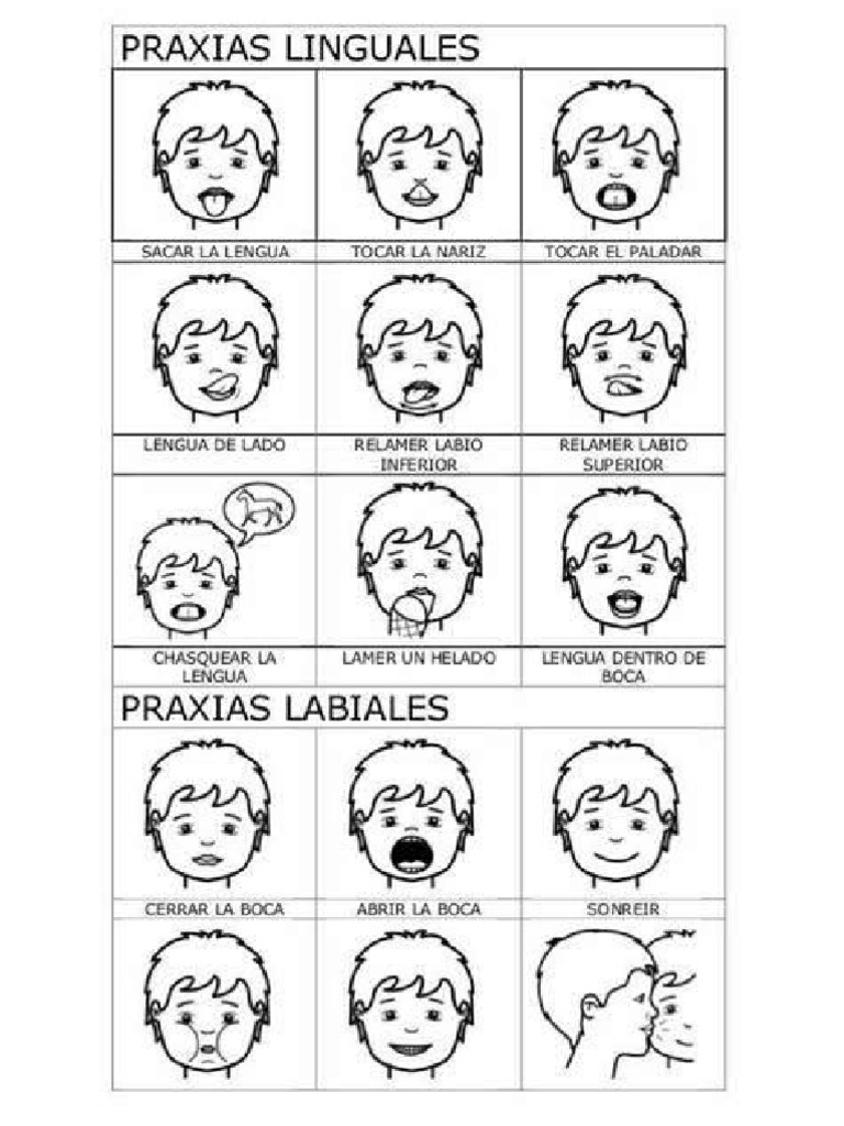 Praxias | PDF